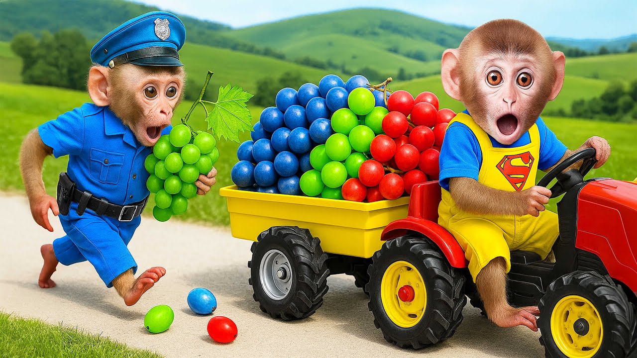 Bebé Mono BaBa limpia la casa y prepara leche deliciosa con el monito ...