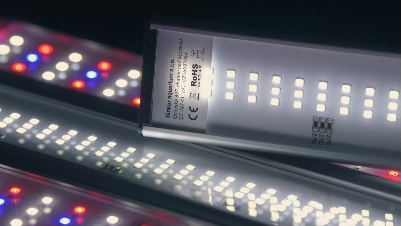Sinkor - najlepiej sprzedające się oświetlenie akwariowe w Europie Środkowej | INVITAL - YouTube