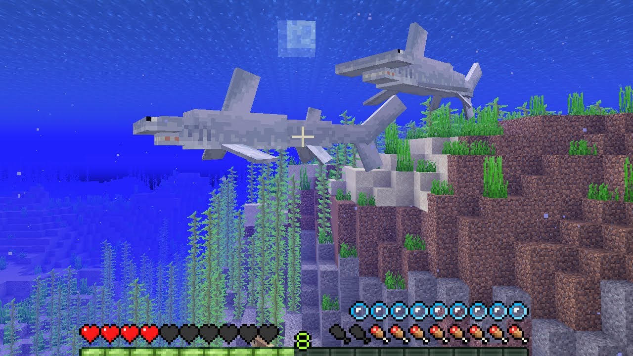 Hammerhead Shark in Minecraft - YouTube