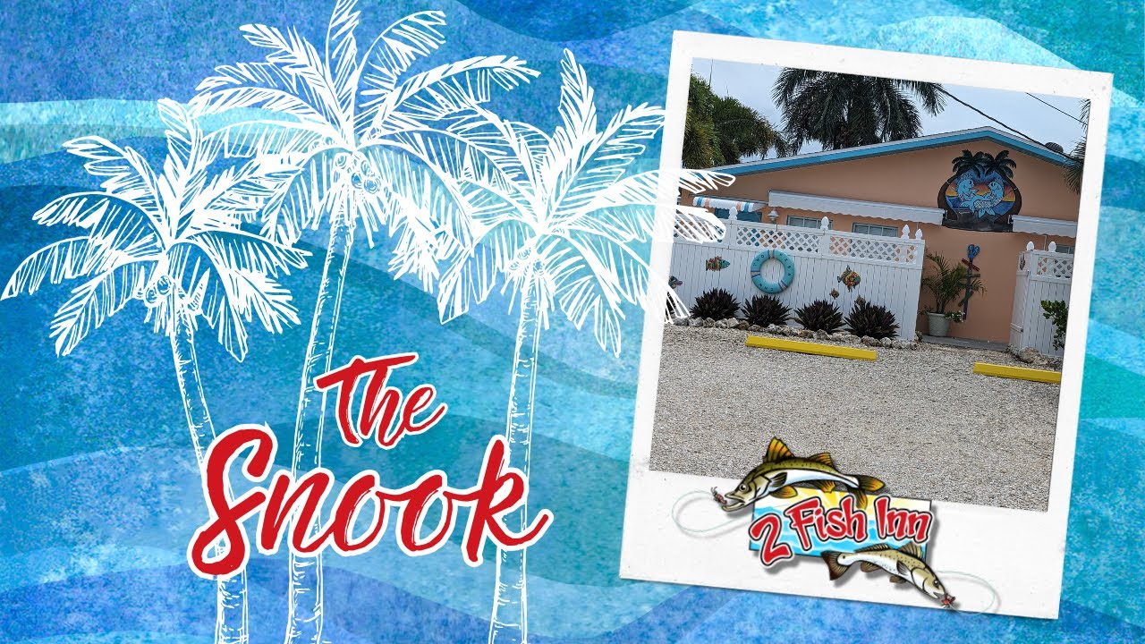 2 Fish Inn-Snook Unit - YouTube