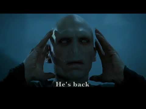 Harry Potter in 99 Seconds