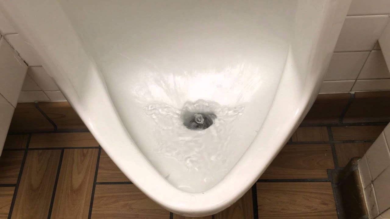 1991? Eljer correcto urinal and 2009? AS cadet pressure assist toilet at Burger King - YouTube