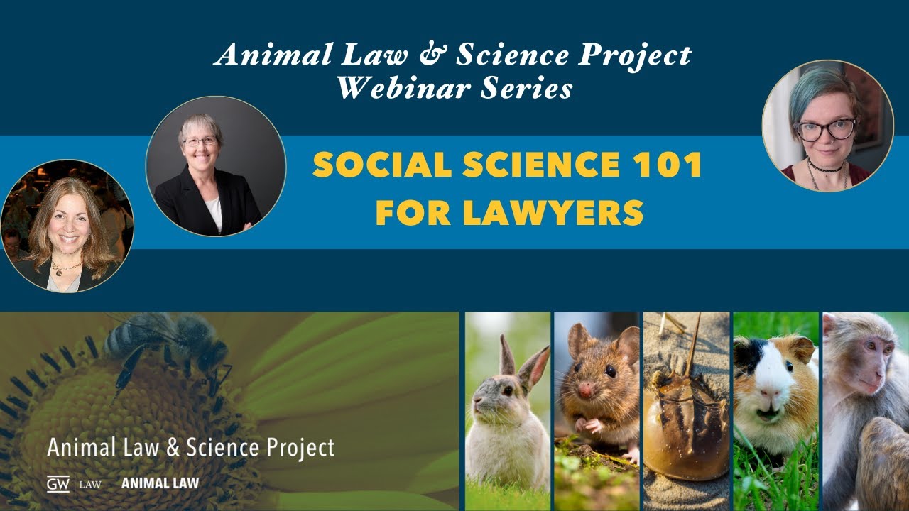 Social Science 101 for Lawyers - YouTube