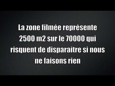 Sauvons la foret Valbonnaise