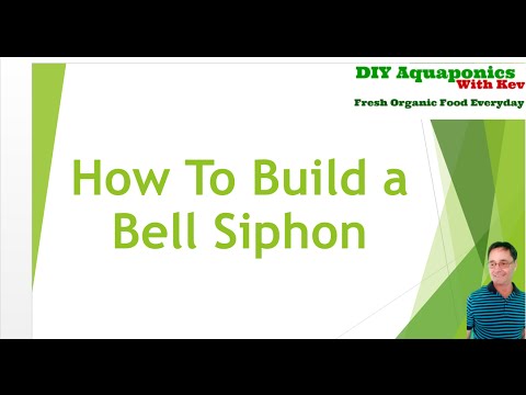 How To Build a Bell Siphon for Aquaponics - YouTube