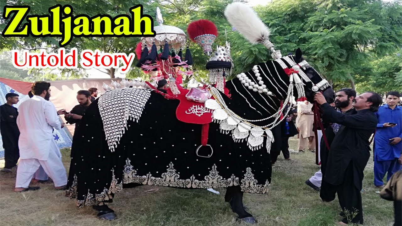 Zuljanah DulDul Badshah / Zuljanah - YouTube