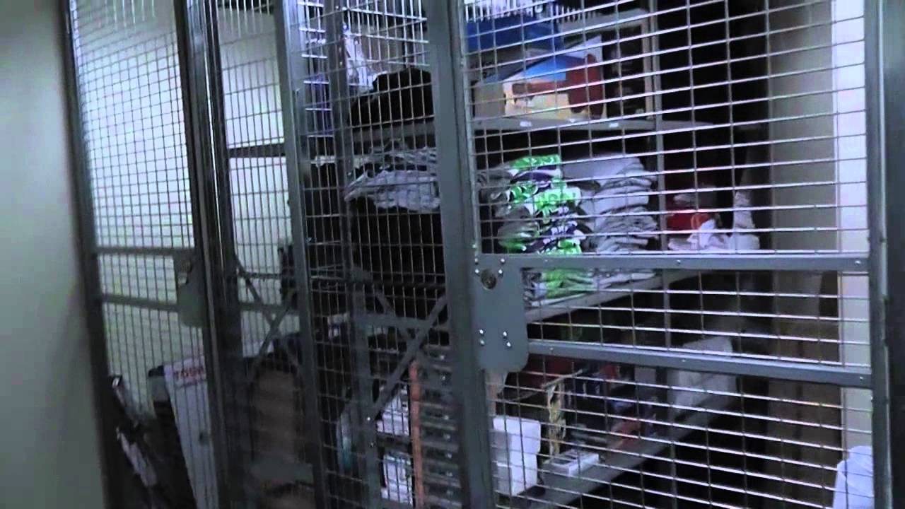 KDWB Cribs - Intern Tour - YouTube