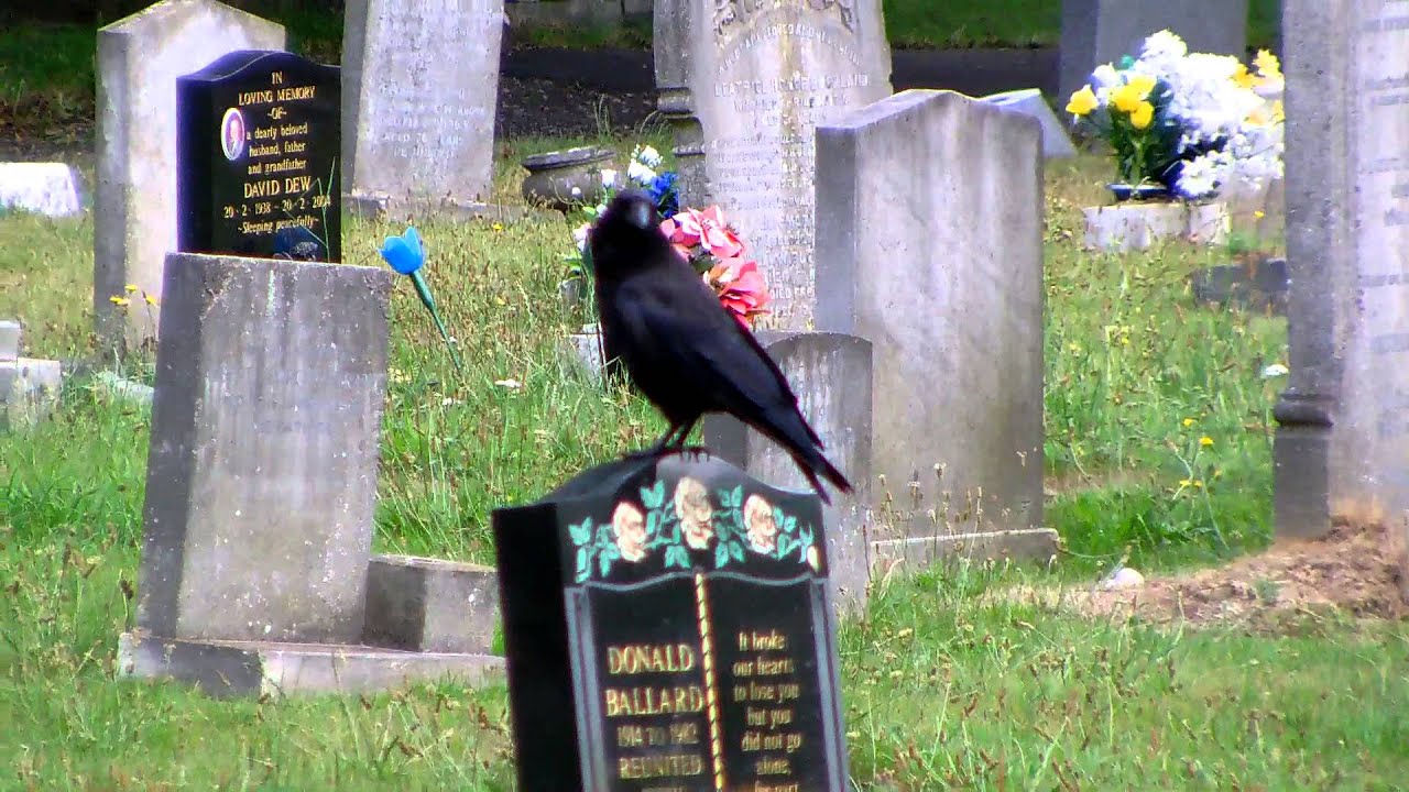 Gothic Grave Headstone - Crow - YouTube
