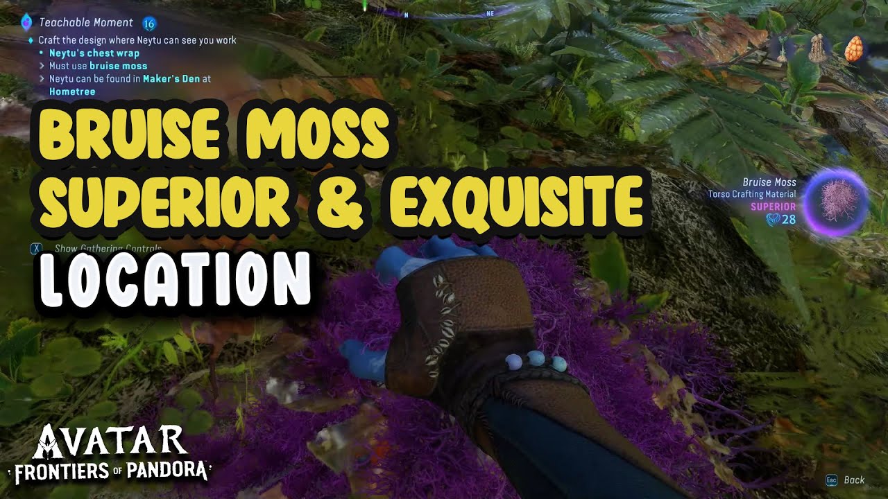 Bruise Moss Superior & Exquisite Location | Avatar Frontiers Of Pandora ...