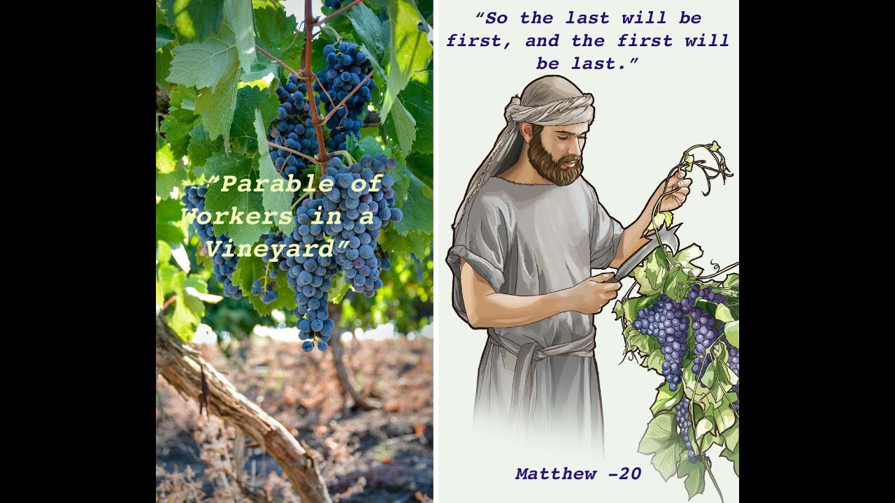 Matthew 20 Parable of Workers in a Vineyard - YouTube