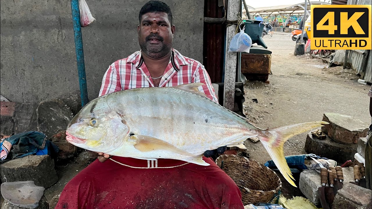 Paarai fish cutting video/Fishcuttingrs #fishcuttingrs #kasimedu #fish ...