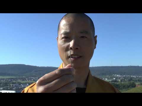 Upps! Shaolin Mönch wirft Nadel durch Glasscheibe!