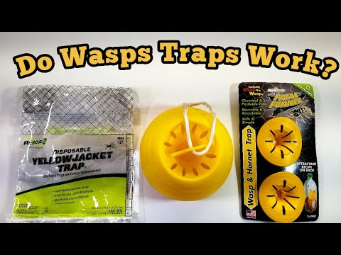 Do Wasp Catchers But Not Bees