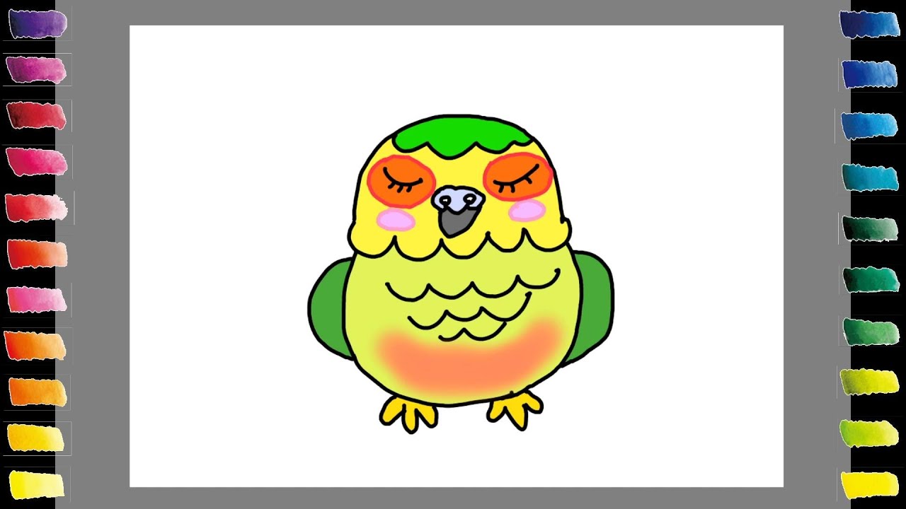 How to Draw a -Sun Conure - YouTube
