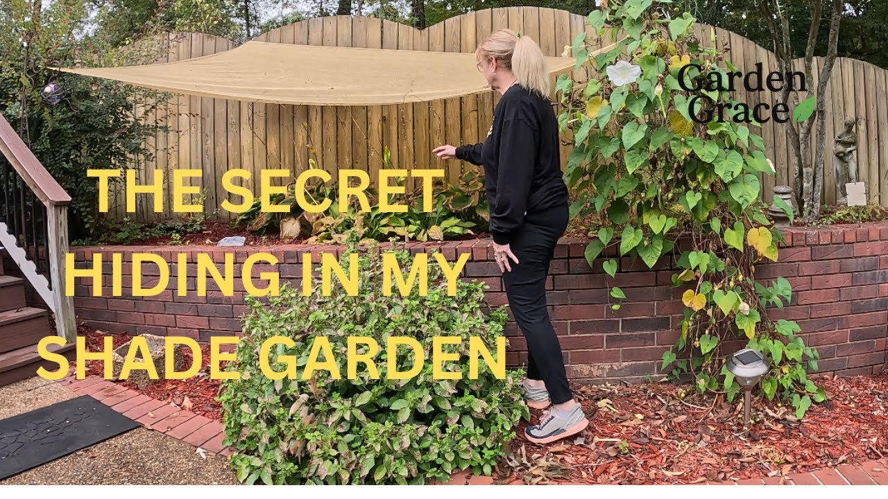 The Secret Behind Letting My Shade Garden Rest 🌿 - YouTube