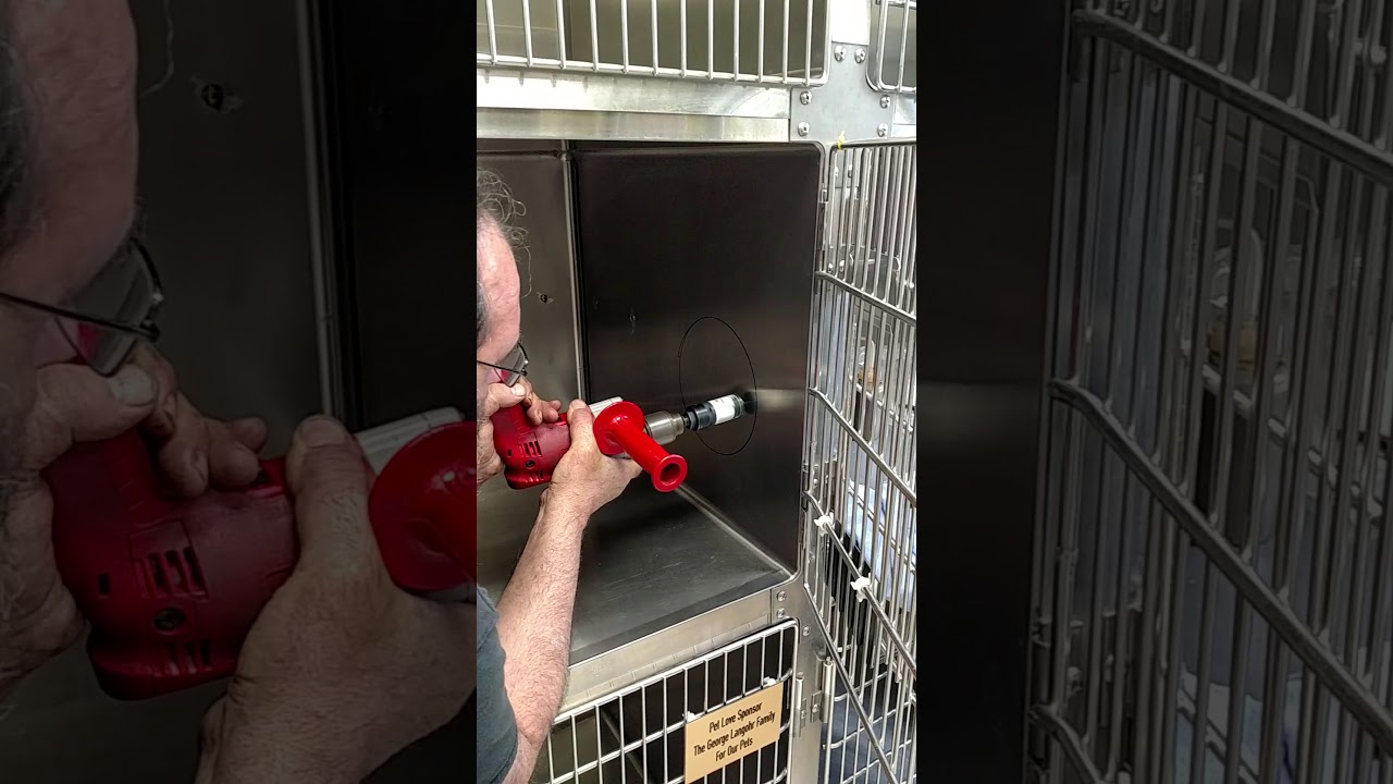 Cat Portals Installation - YouTube