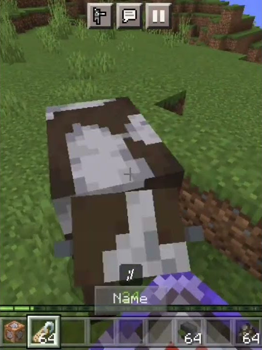 Morph Command Block MCPE - #shorts - YouTube