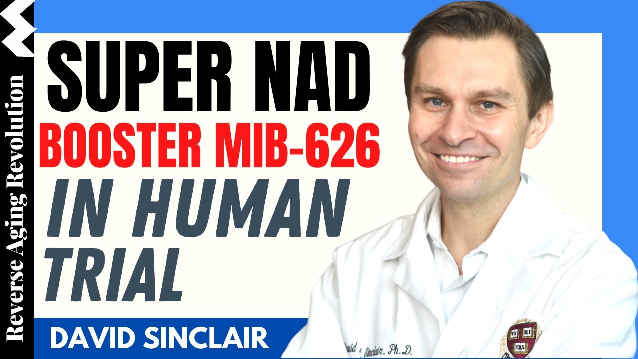 DAVID SINCLAIR “Super NAD Booster MIB-626 In Human Trials” | Dr David ...