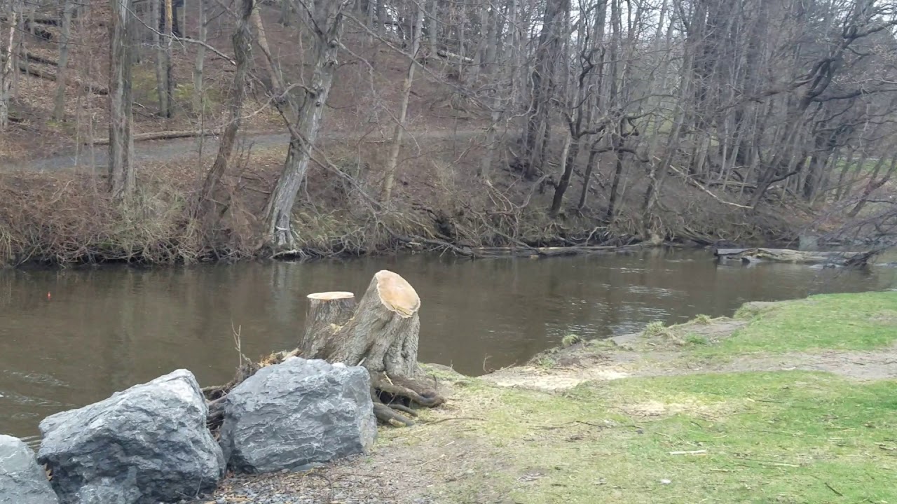 Beautiful Webster Park Pier -1 - YouTube
