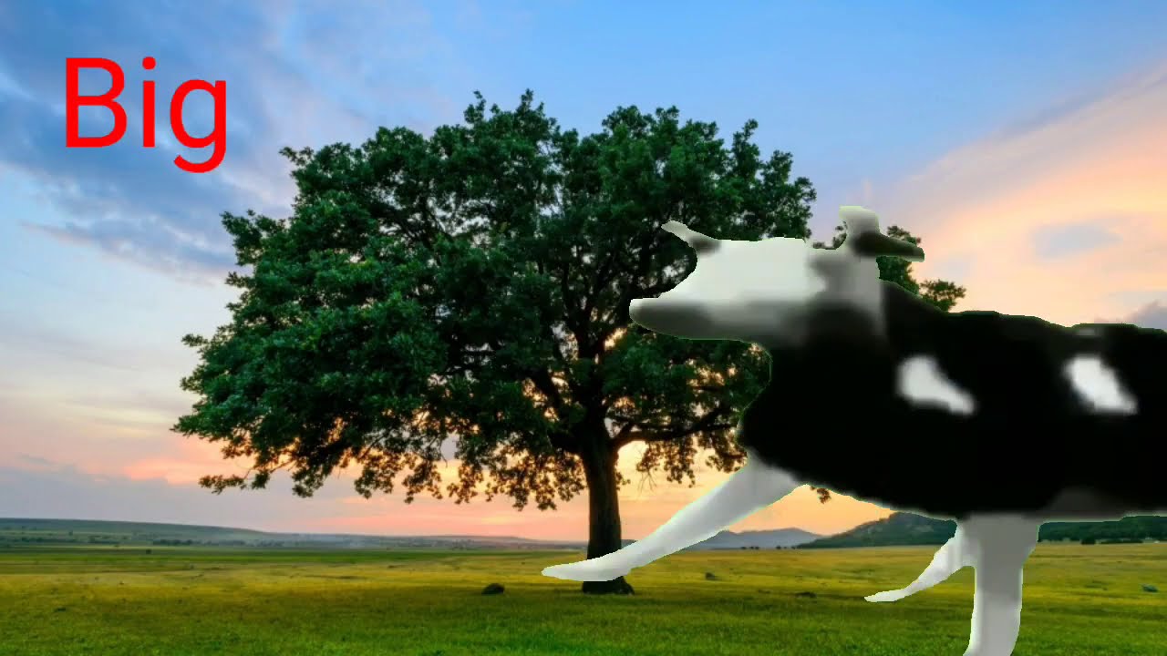 13 Dancing Polish Cow Song Variations - YouTube