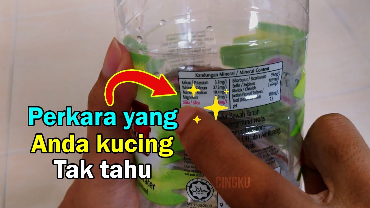 Cara mudah cegah dan rawat kucing sembelit - YouTube