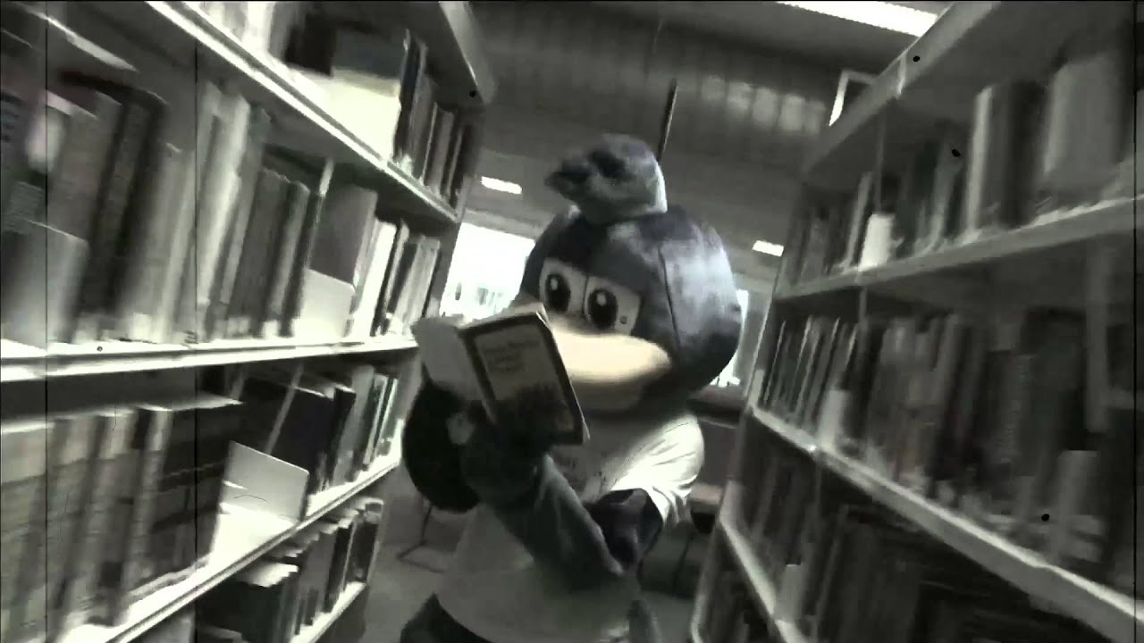 Duck Norris tour of DIT Aungier Street - YouTube