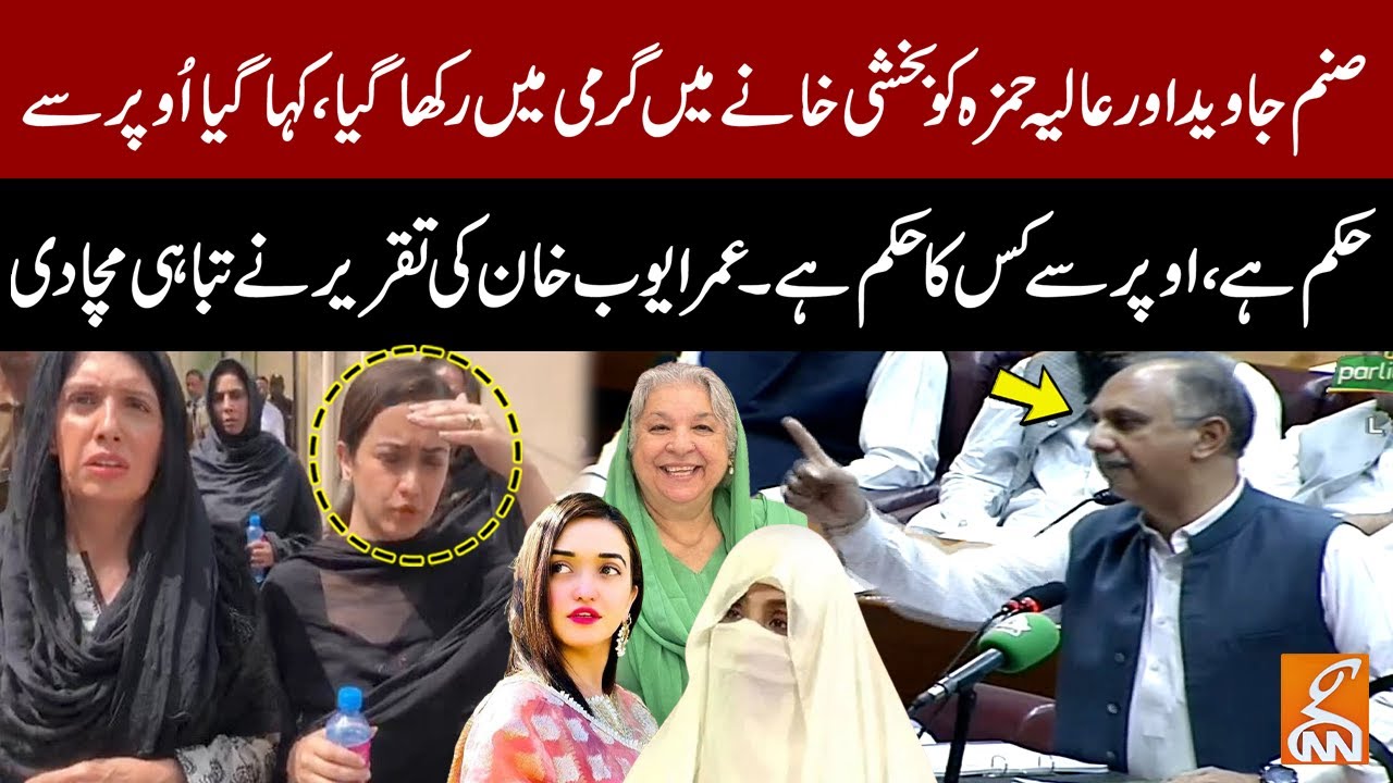 Umar Ayub Blasting Statement About Bushra Bibi, Aliya Hamza and Sanam ...