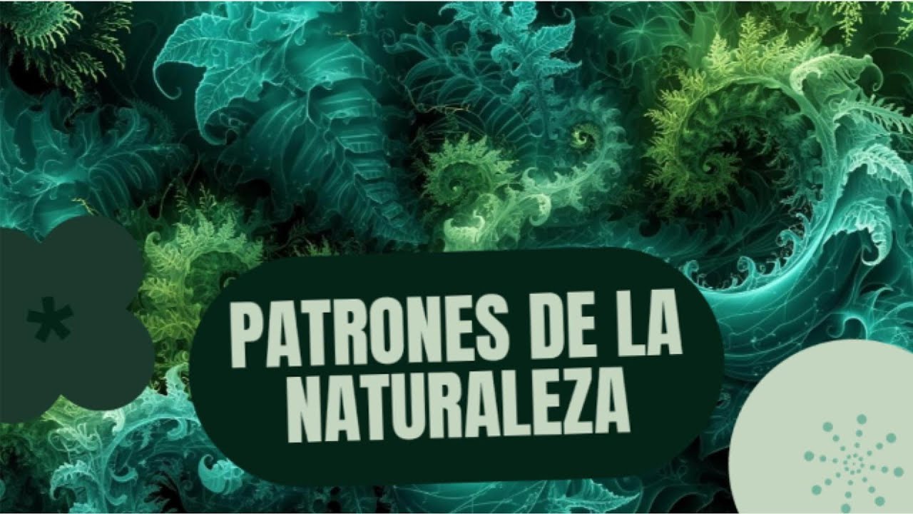 Patrones Repetitivos: Cómo la Naturaleza Inspira a los Gráficos - YouTube
