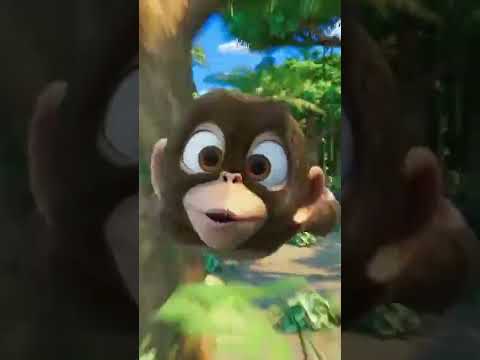 #monkey #munki #skeleton #animal #babymonkey R6ELtXBRKqI - YouTube