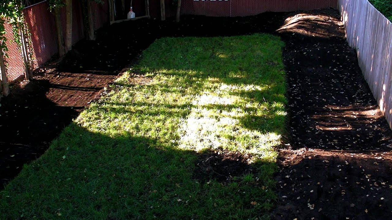 Doing some laps on my small backyard RC track :) - YouTube