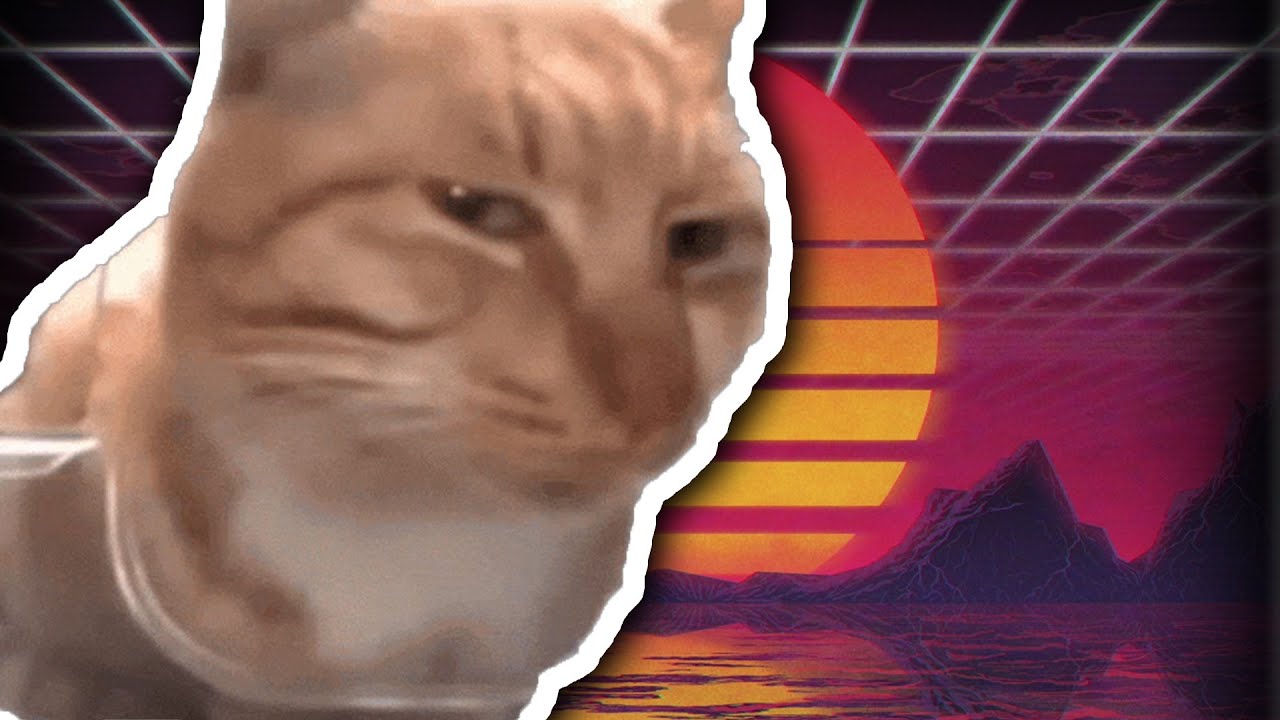 Mr Fresh / Side Eye Cat - Where This Meme From ? - YouTube
