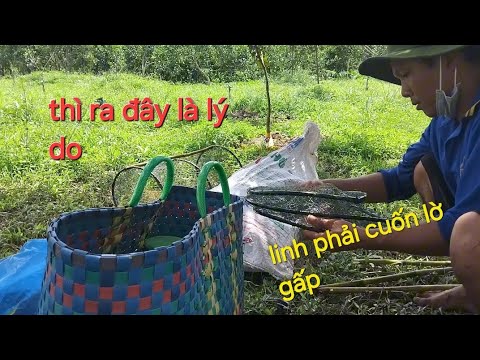 mấy anh ơi tha cho em với - YouTube