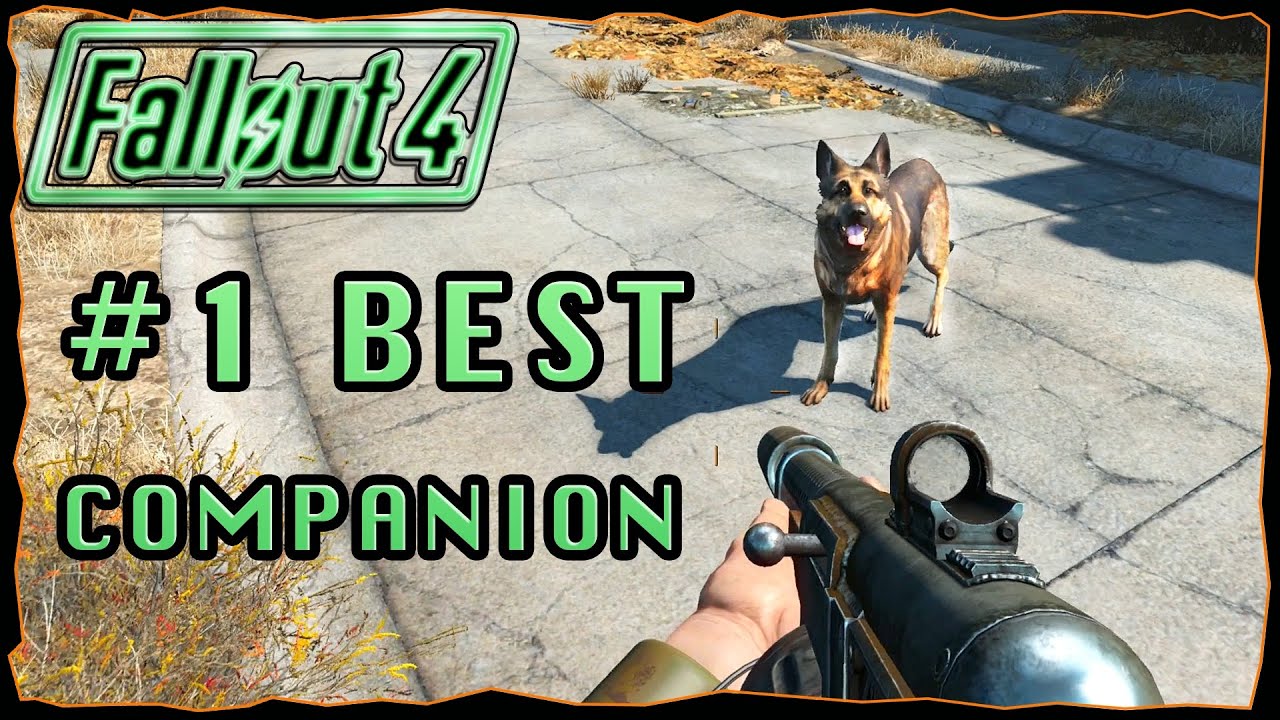 #1 Best Companion (610+ Carry Weight) | Fallout 4 - YouTube