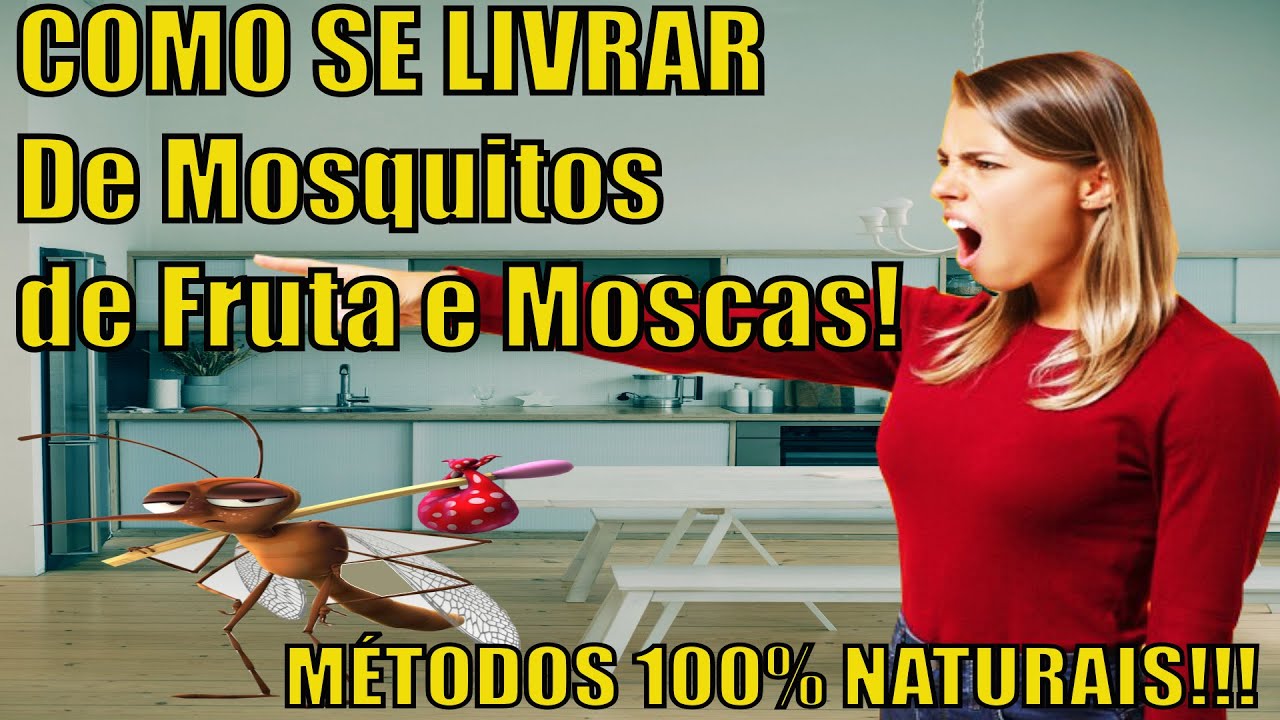 Como eliminar Moscas em casa - YouTube