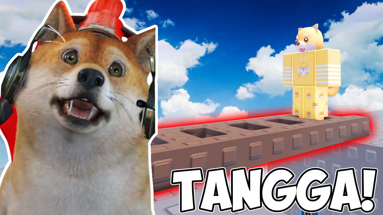 NAIK GUNUNG HANYA BOLEH PAKAI SATU TANGGA? - Roblox Indonesia - YouTube