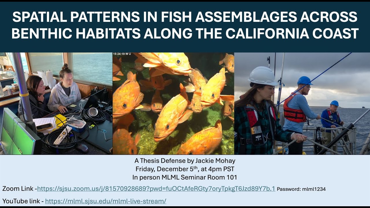 J Mohay: "Spatial patterns in fish assemblages across benthic habitats ...