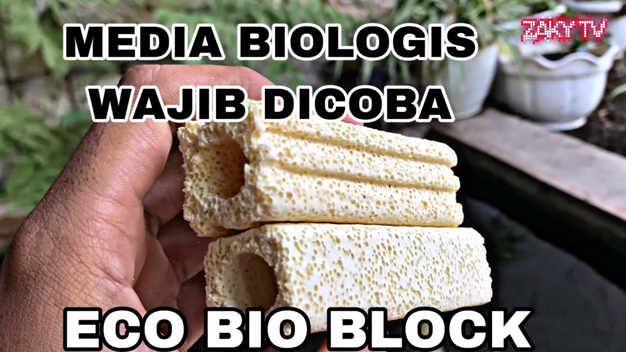 Media filter kolam Eco Bio Block penghasil bakteri baik untuk ikan koi ...