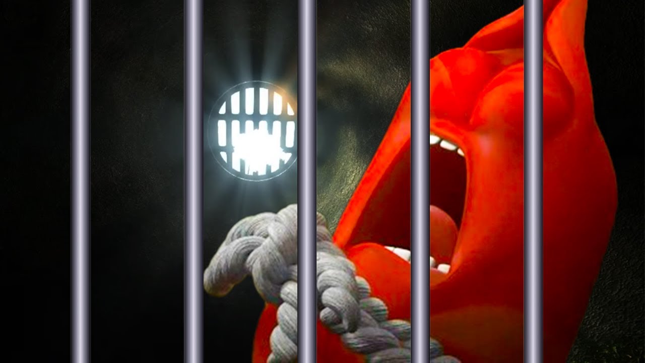 RED IS TRAPPED! | LARVA | Cartoons for Kids | WildBrain Kids - YouTube