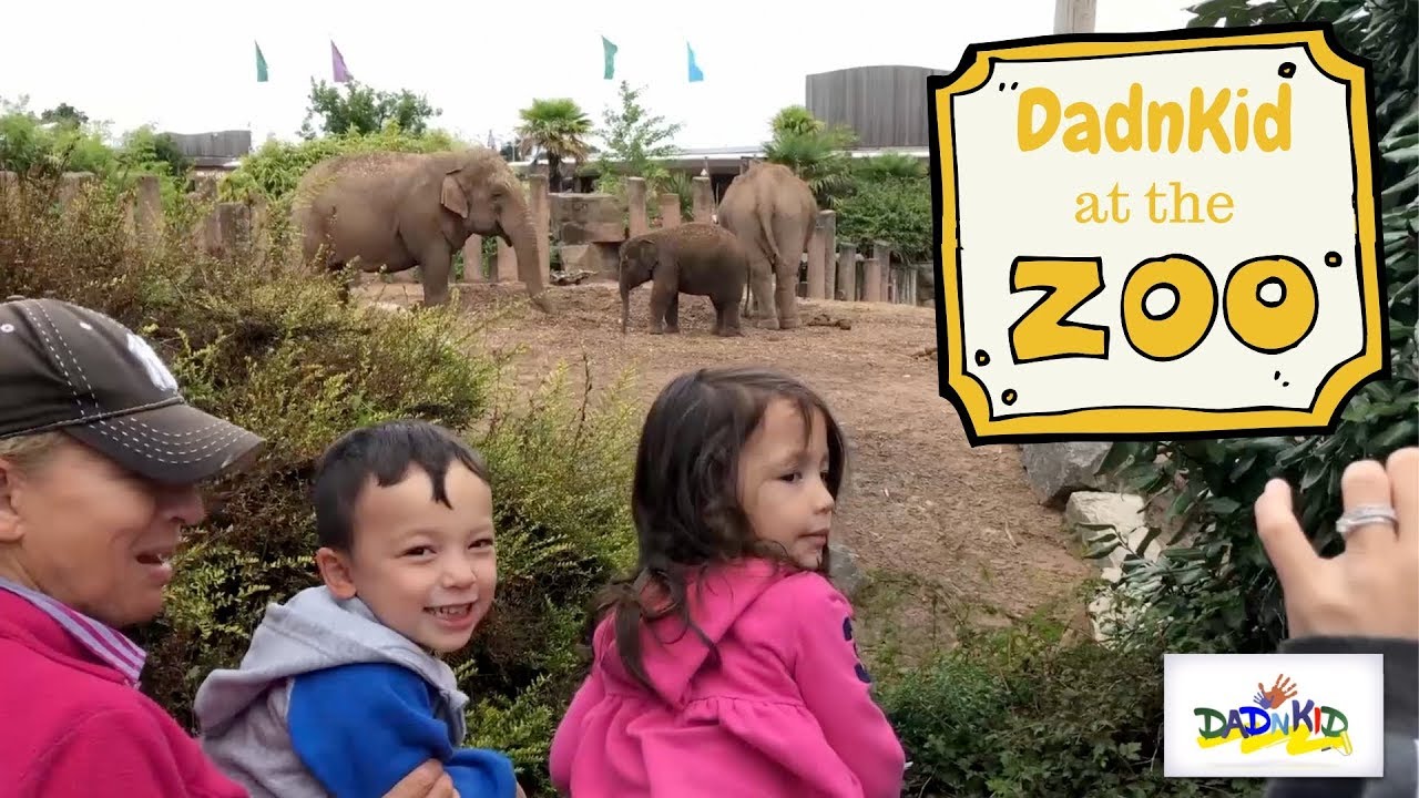 Chester Zoo Break: Fabulous Family Trip to see Amazing Animals - YouTube