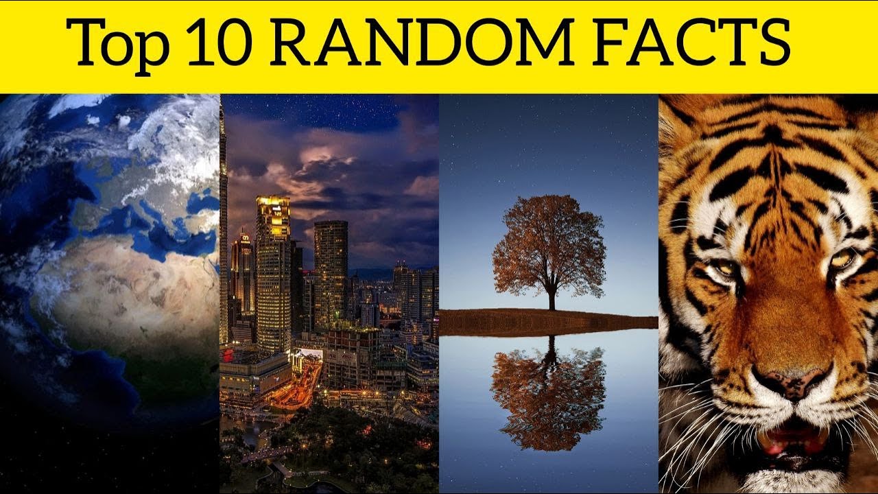 Top 10 Crazy 🤯 RANDOM FACTS you have ever seen 👀 - YouTube