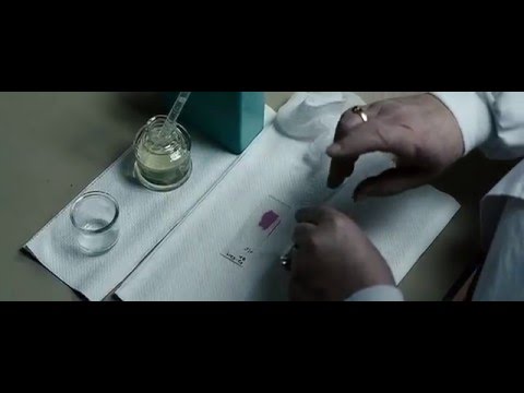 The ART of the histotechnology - YouTube