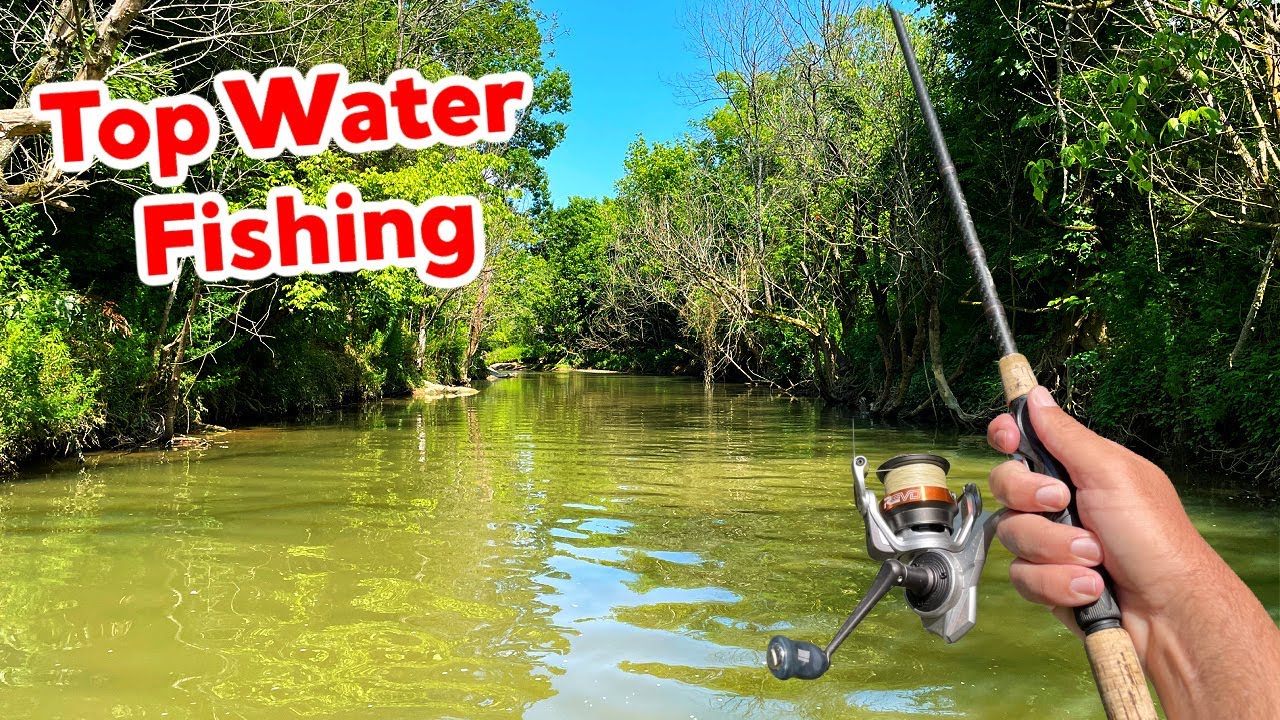 Topwater Blowups while Creek Wading - YouTube