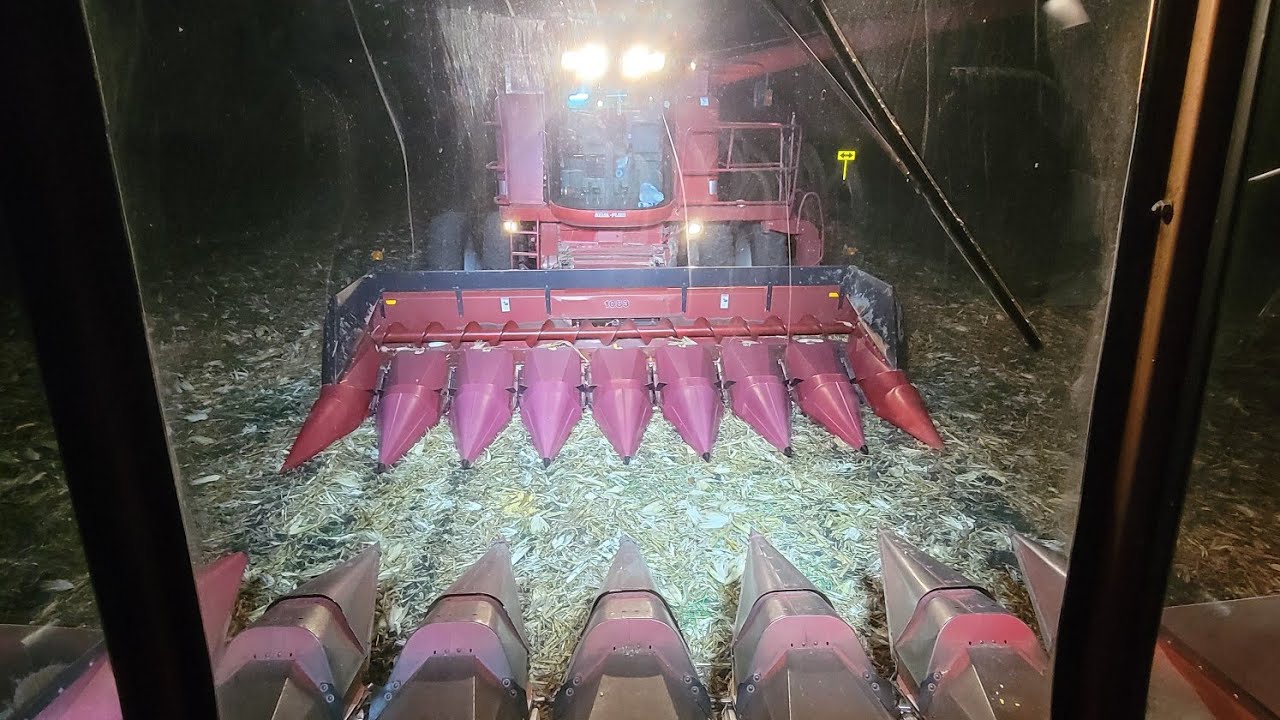 First Corn Video! Thanks for 24,000 Subscribers!!! - YouTube