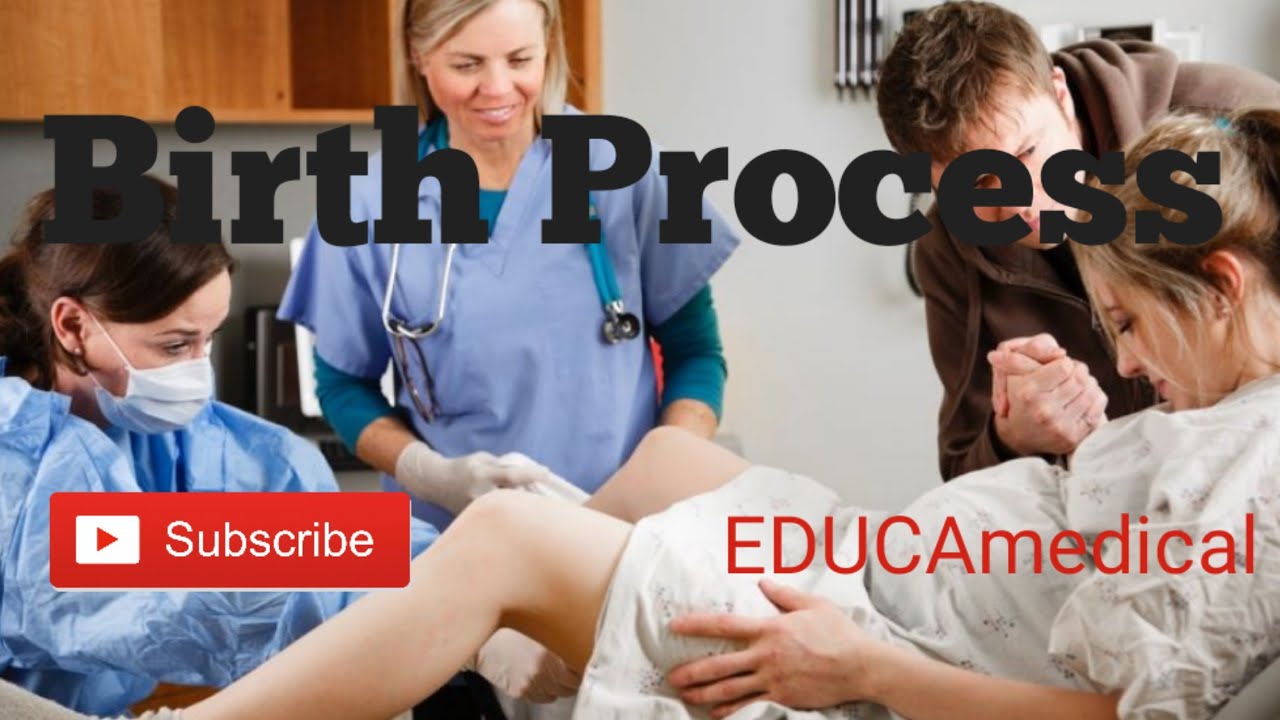 Child Birth Process - YouTube