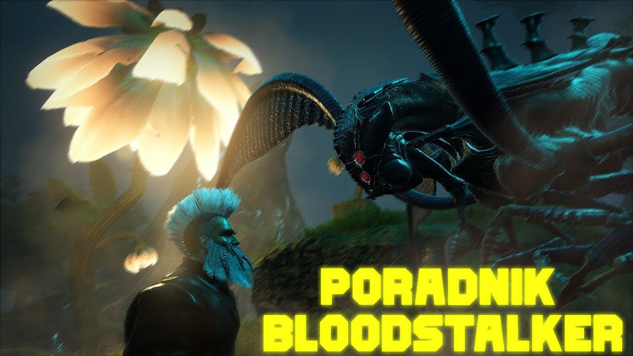 BLOODSTALKER WSZYSTKO NA JEGO TEMAT - YouTube