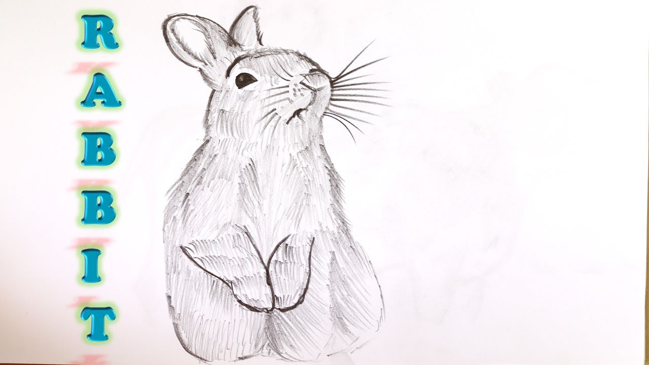 How To Draw A rabbit - YouTube