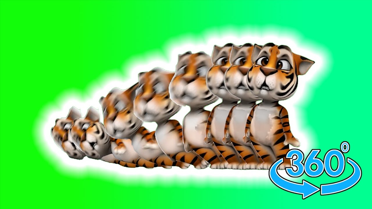 🐯 Tiger Talking Tom VR 🐯 - YouTube