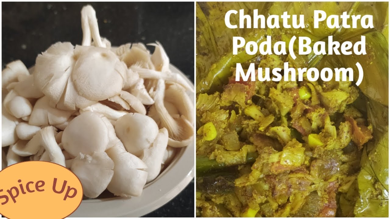 Chhatu Patra Poda | Baked Mushroom with Banana Leaf | Odia Authentic ...