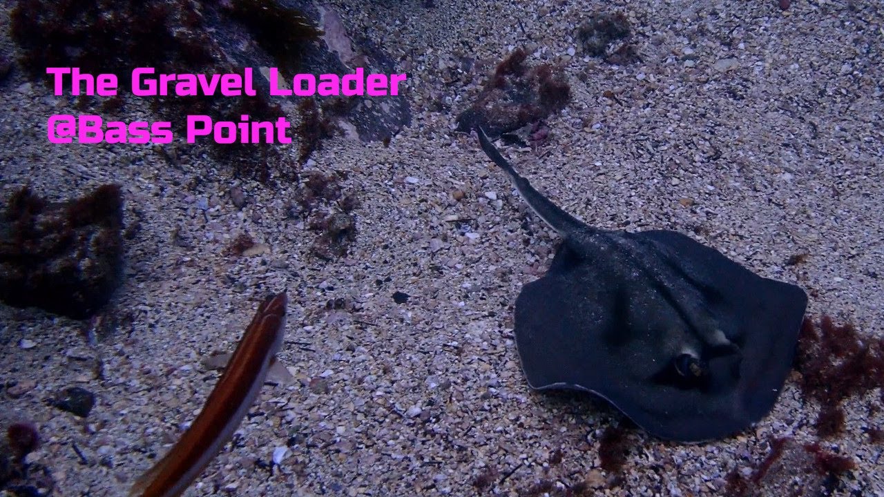 Diving the Gravel Loader - Bass Point 23rd of April - YouTube