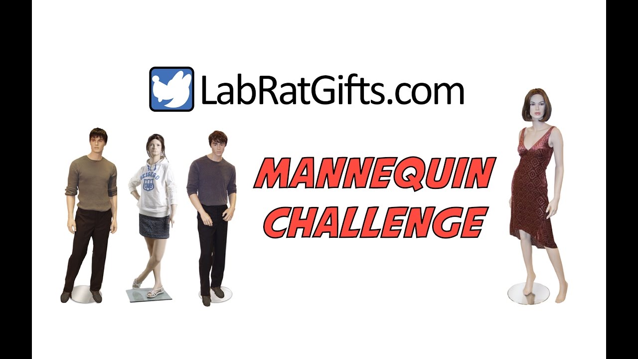 Mannequin Challenge - LabRatGifts.com - YouTube
